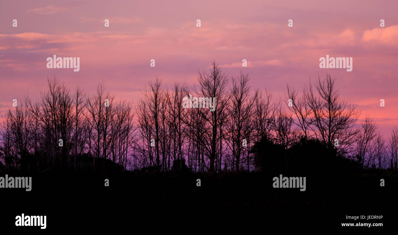 Cold winter look in this dawn light sky Stock Photo - Alamy
