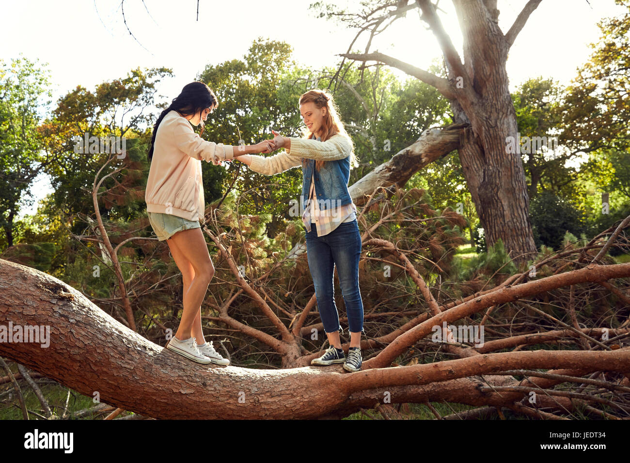Two young woman balancing on tree trunk Stock Photo - Alamy