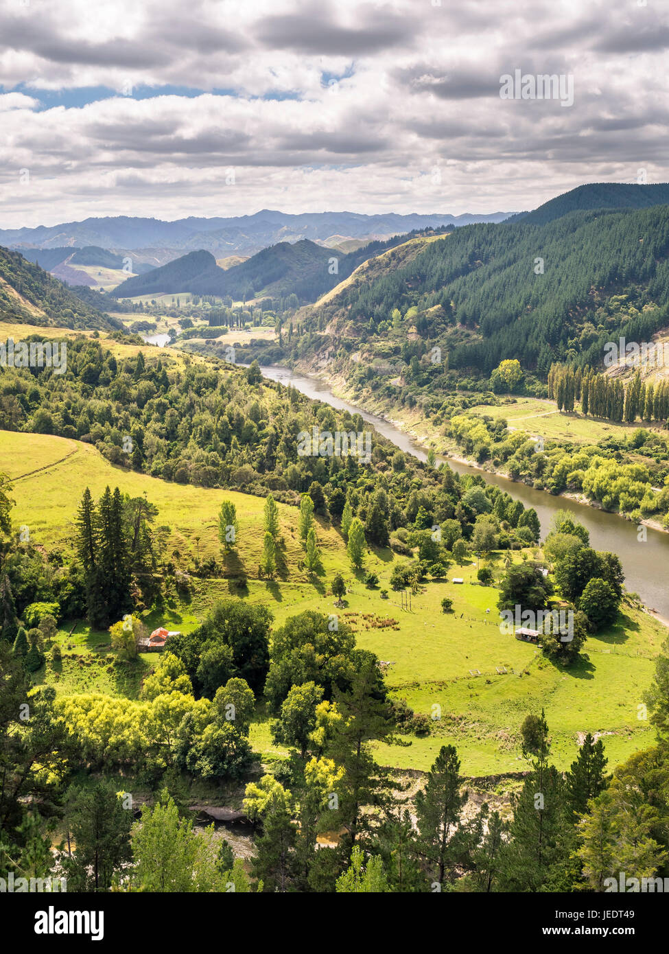 New Zealand, Northern Island, Whanganui River Stock Photo - Alamy