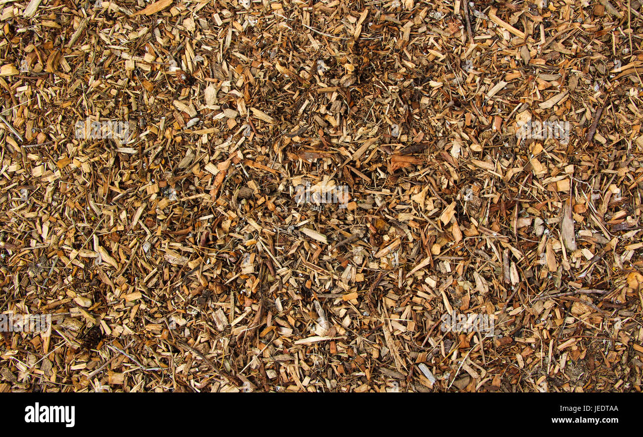Wood chippings texture, with good mix of wooden bits Stock Photo - Alamy