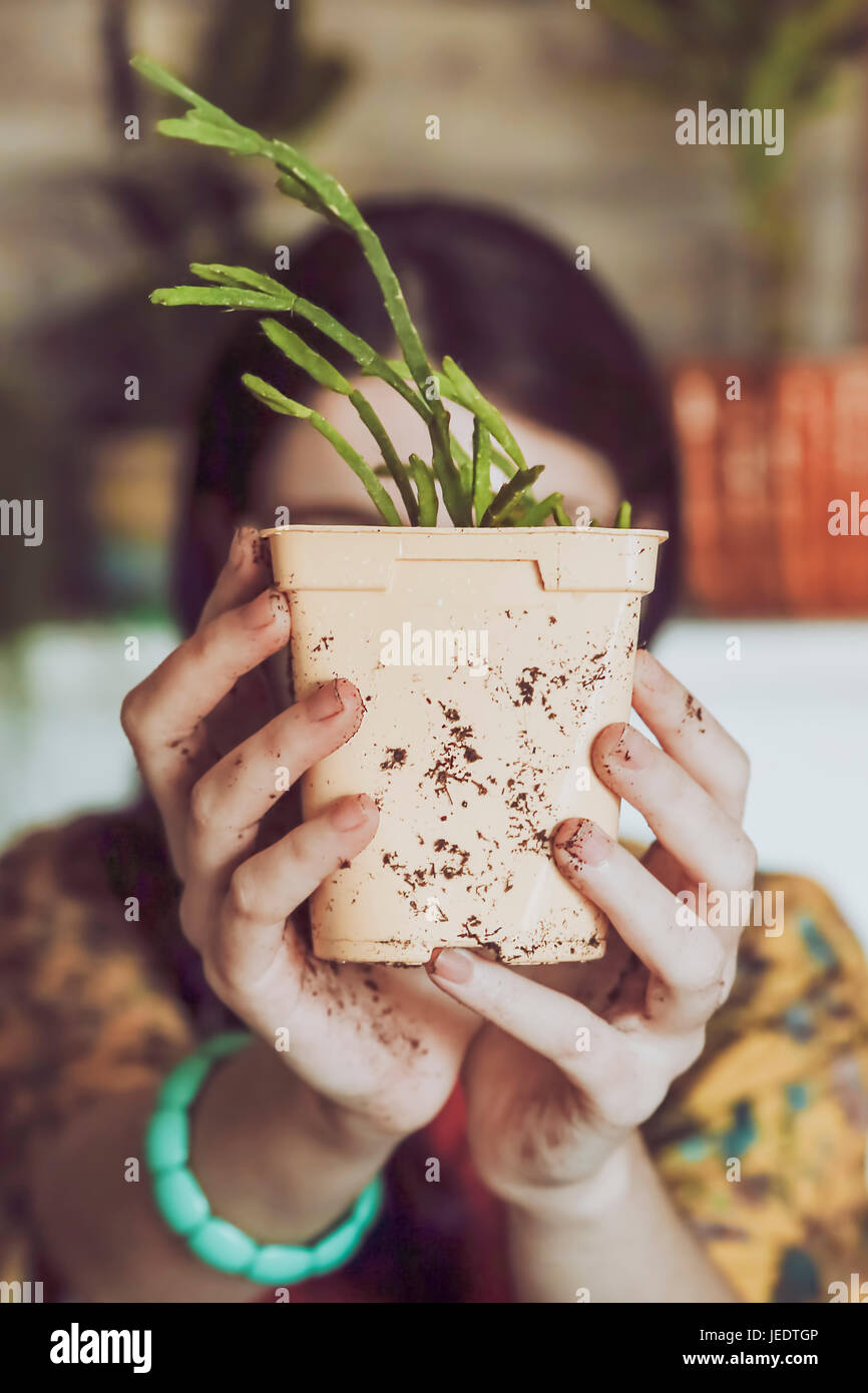 Potted cactus hi-res stock photography and images - Alamy