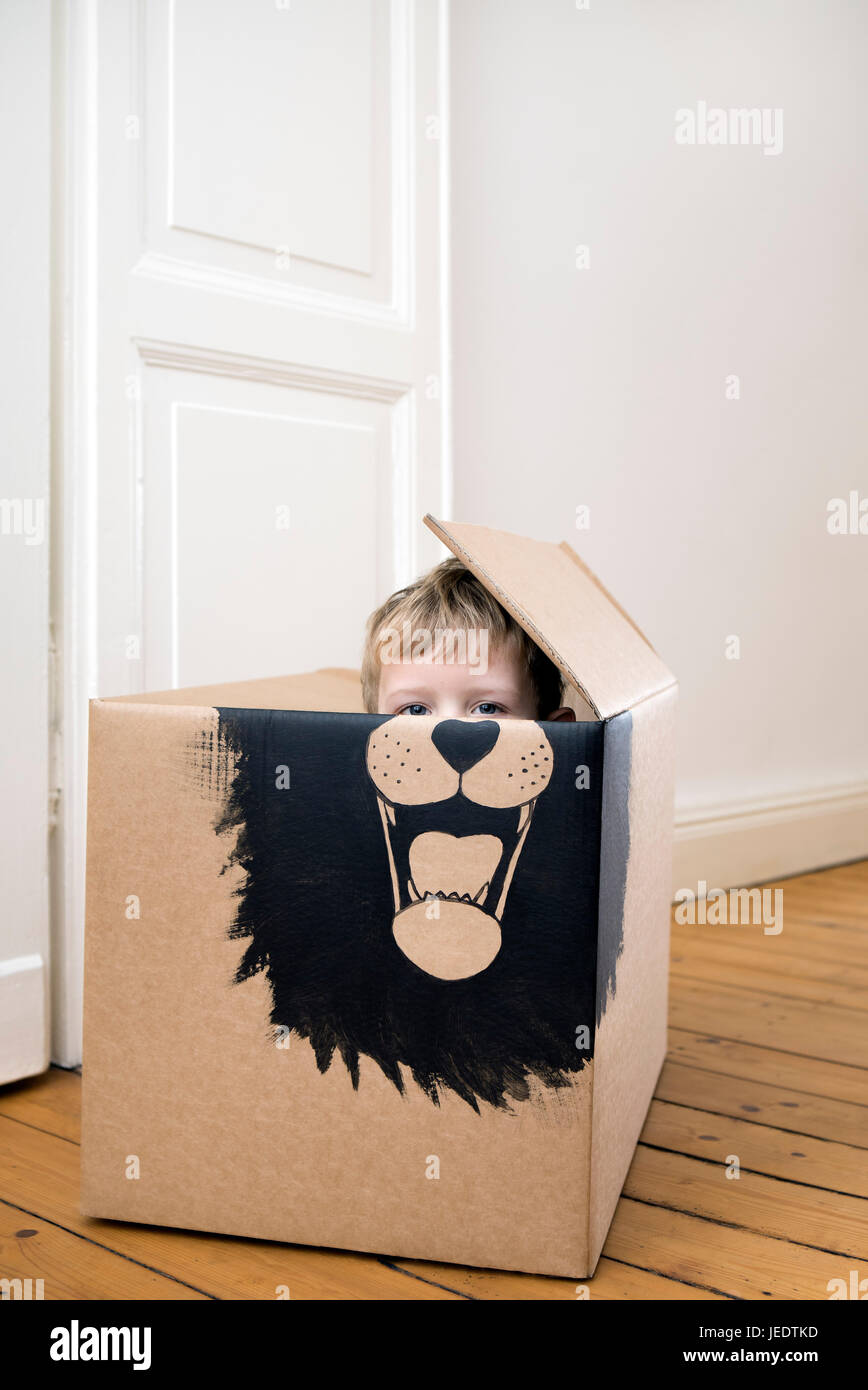 Boy inside a cardboard box painted with a lion Stock Photo - Alamy