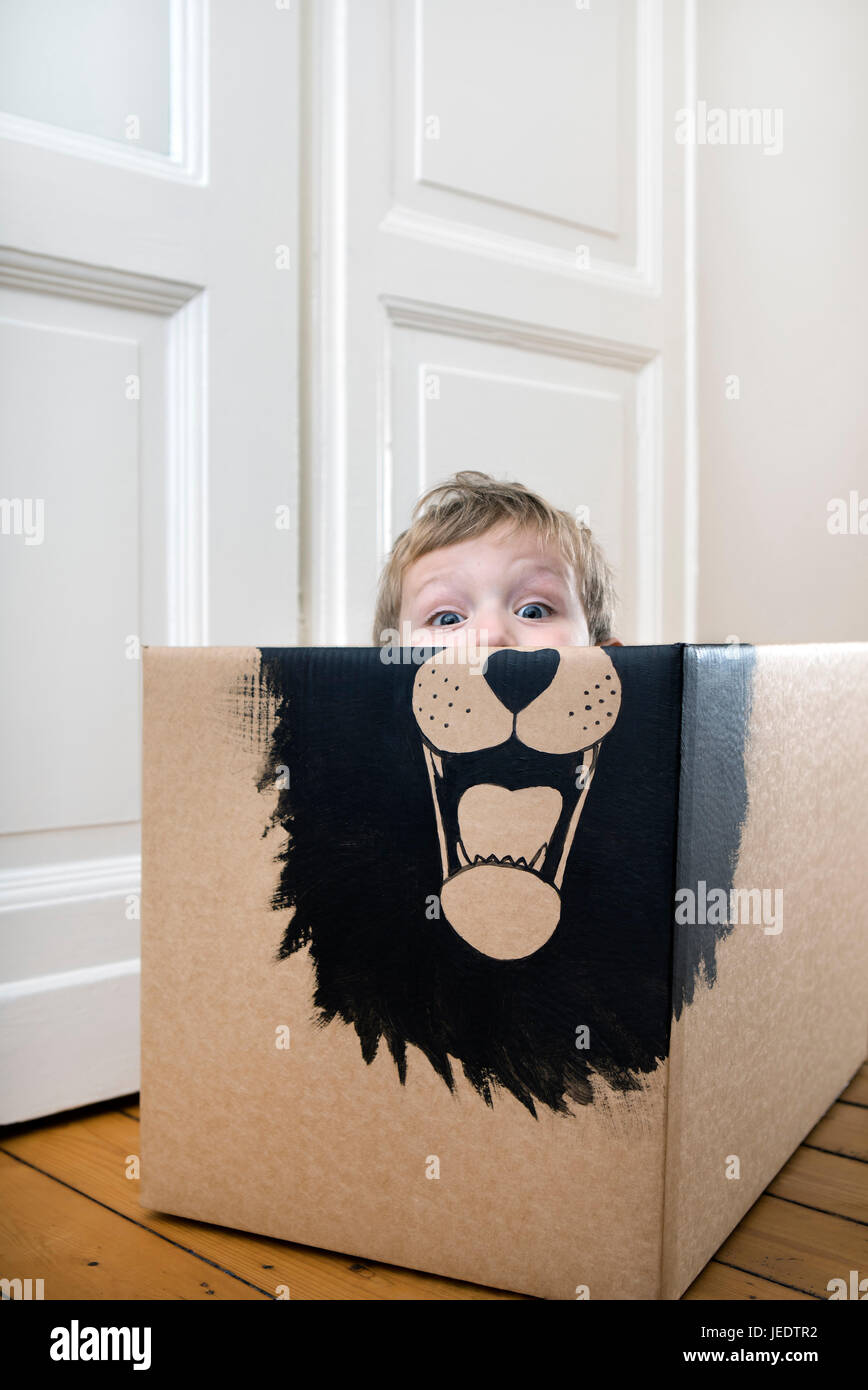 Boy inside a cardboard box painted with a lion Stock Photo - Alamy