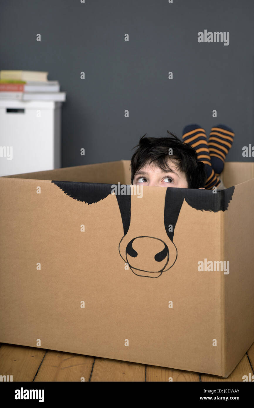 Cow cardboard hi-res stock photography and images - Alamy