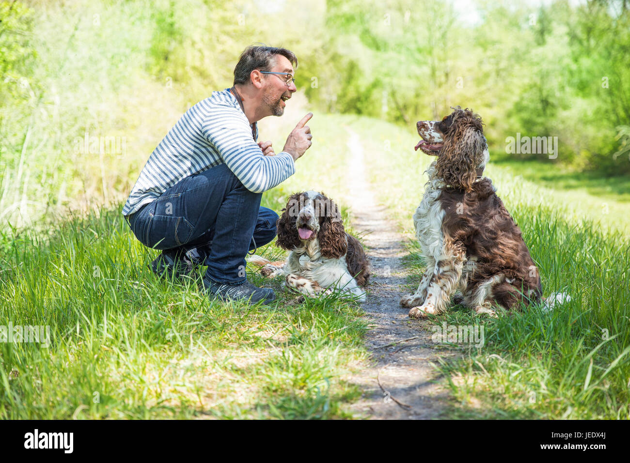 Man training dogs Stock Photo - Alamy