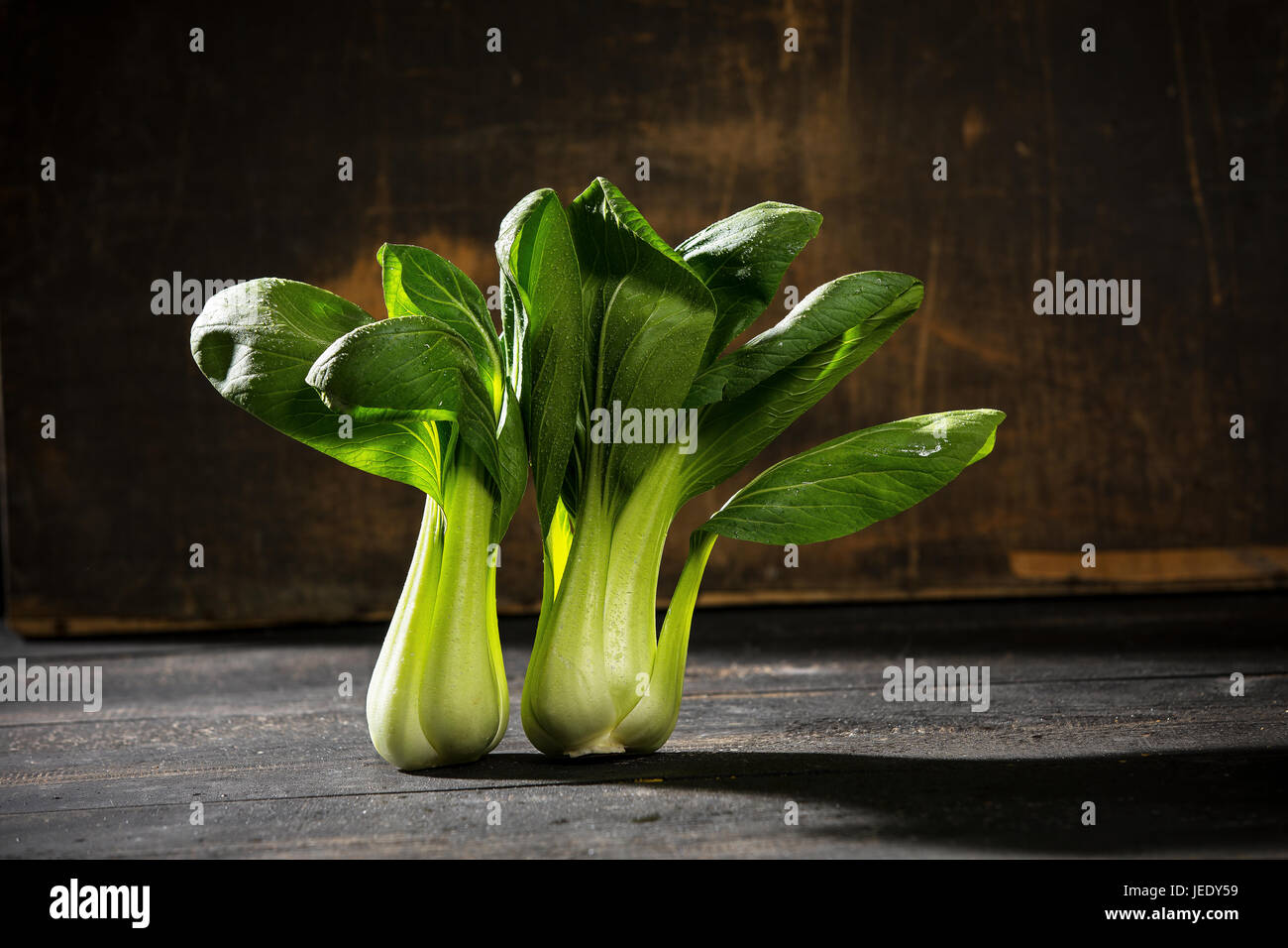 Shanghai Pak Choi – Shanghai-Senfkohl Stock Photo - Alamy