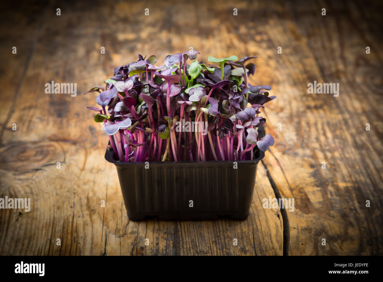 Sango radish hi-res stock photography and images - Alamy