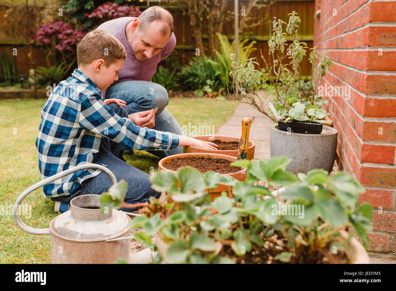 Father and son planting and sowing seeds together Stock Photo - Alamy