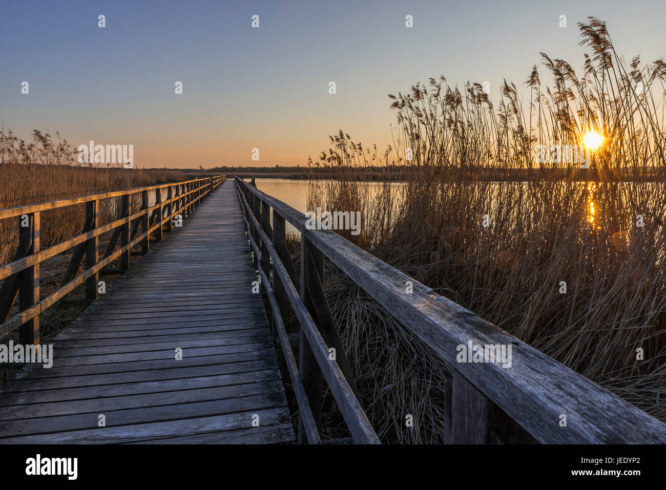 Germany, Bad Buchau, Lake Feder, wooden boardwalk at sunset Stock Photo ...