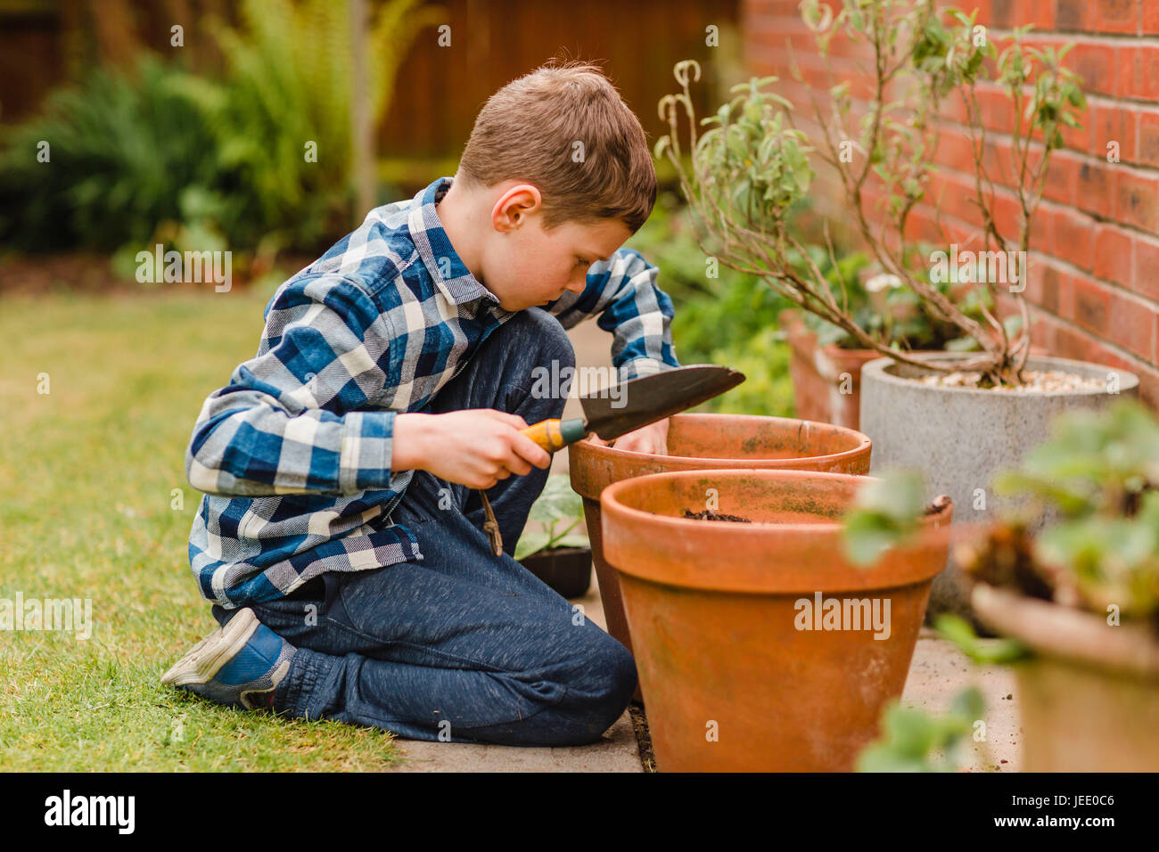 Boy planting and sowing seeds Stock Photo - Alamy