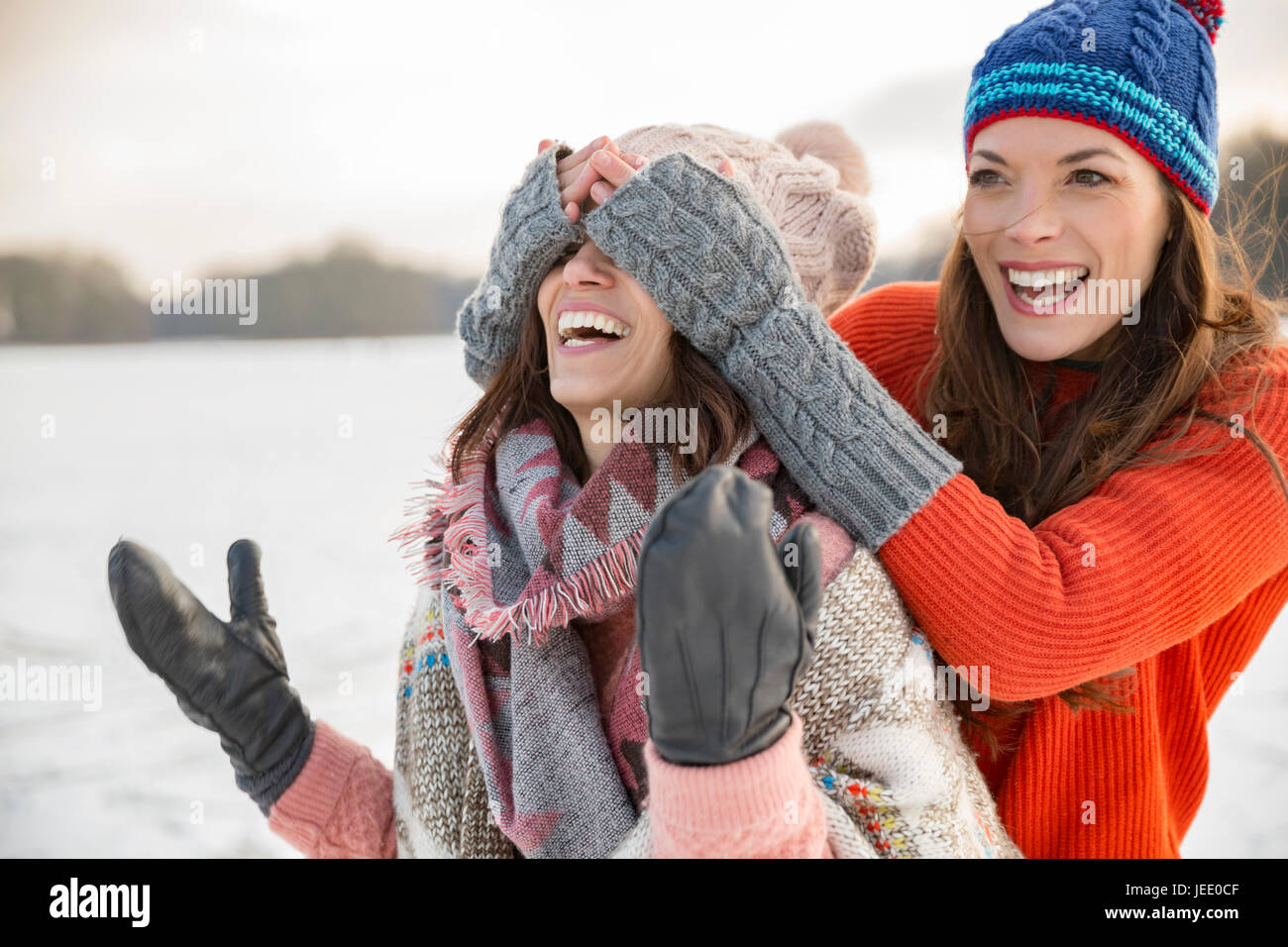 Playful friends on frozen lake Stock Photo - Alamy