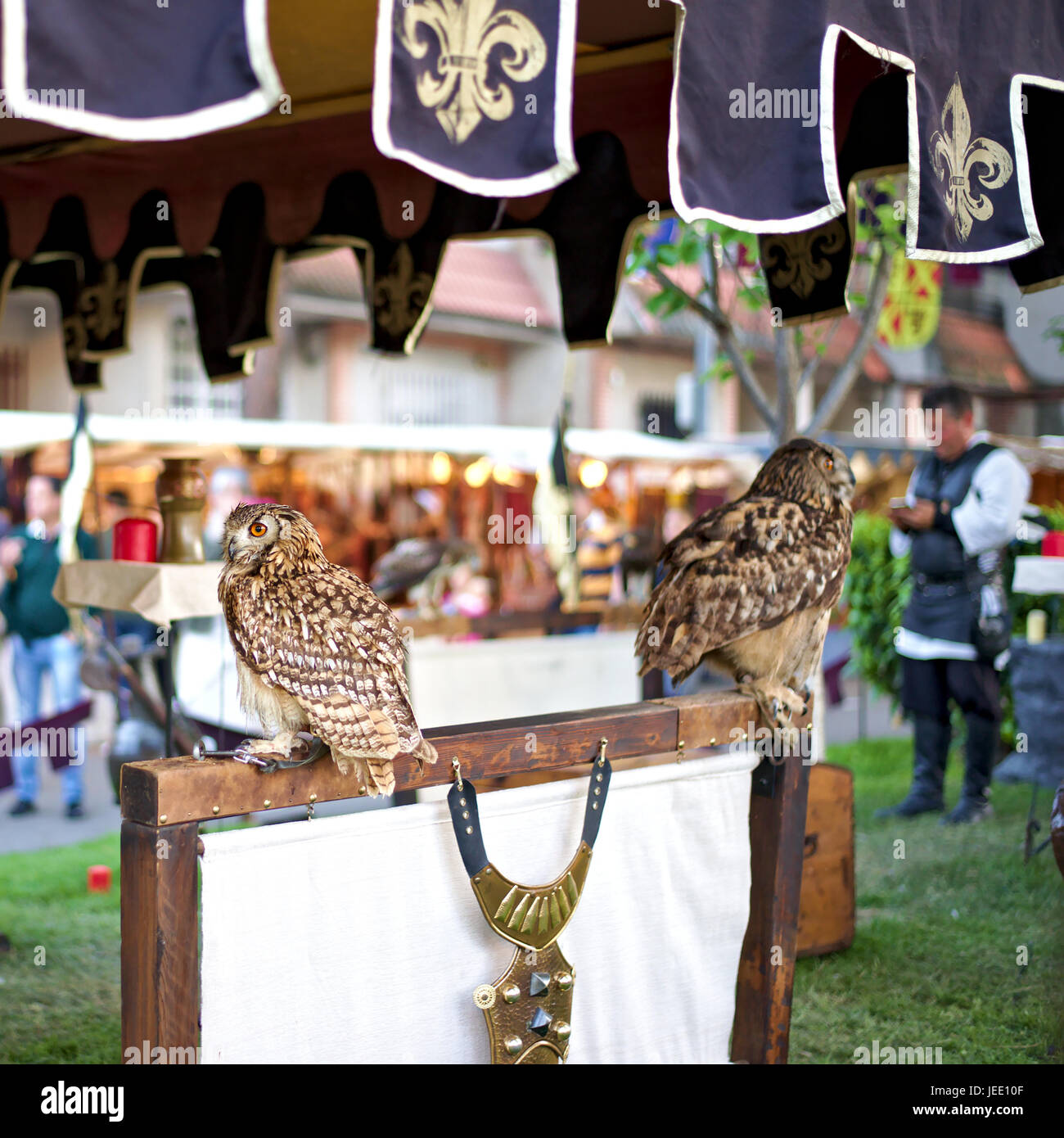 El Alamo Medieval Market, 2017. El Álamo, Madrid, Spain Stock Photo - Alamy