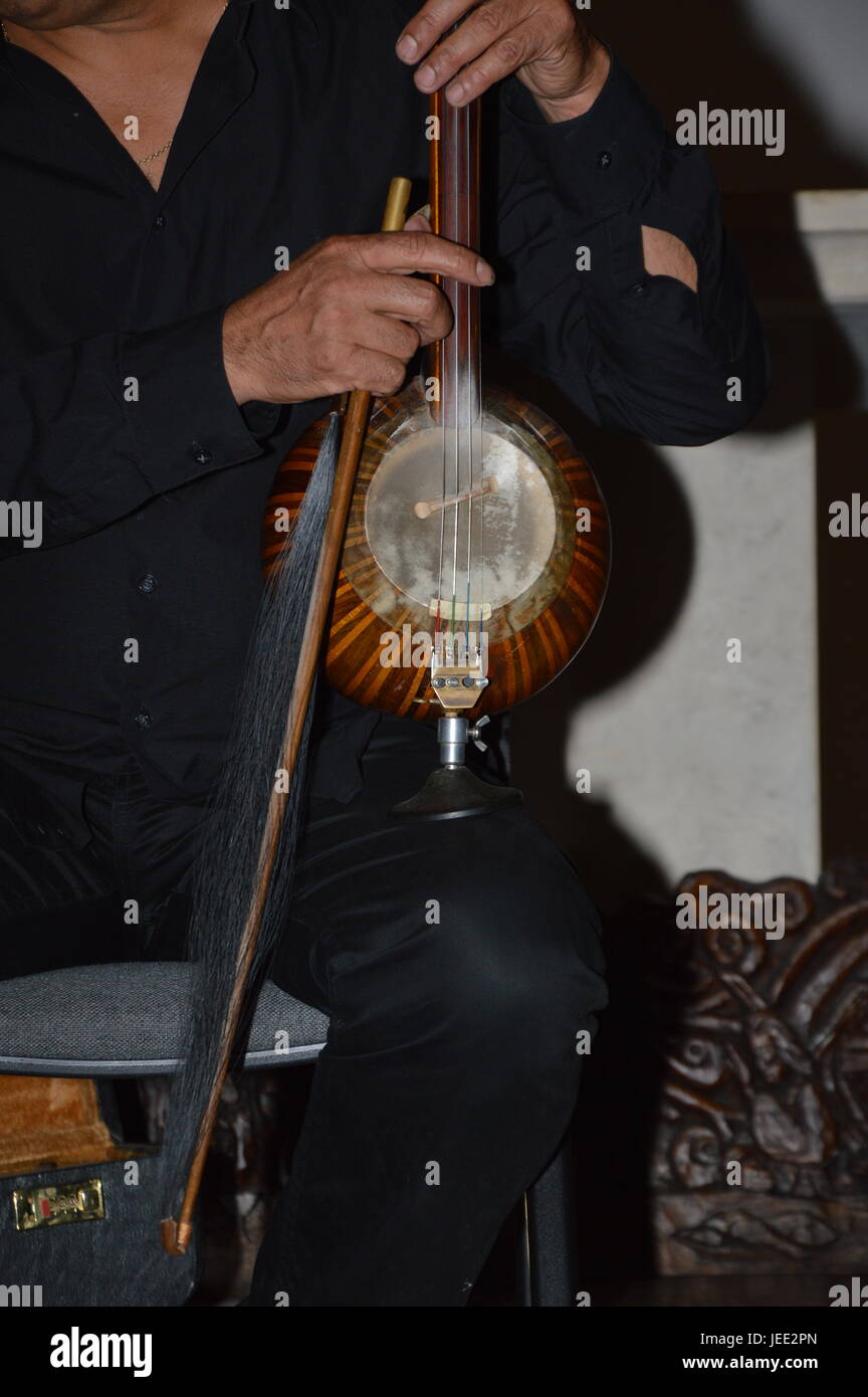 A Stringed music instrument Stock Photo - Alamy