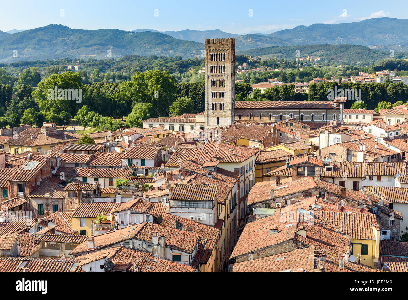 medieval town of Lucca with San Frediano bell tower, tuscany, italy ...