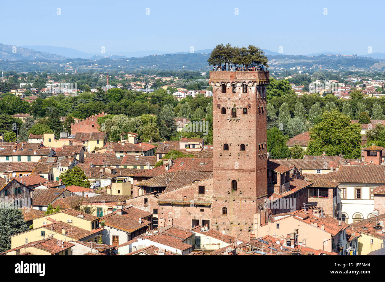 medieval town of Lucca and the Torre Guinigi (Guinigi Tower), tuscany ...