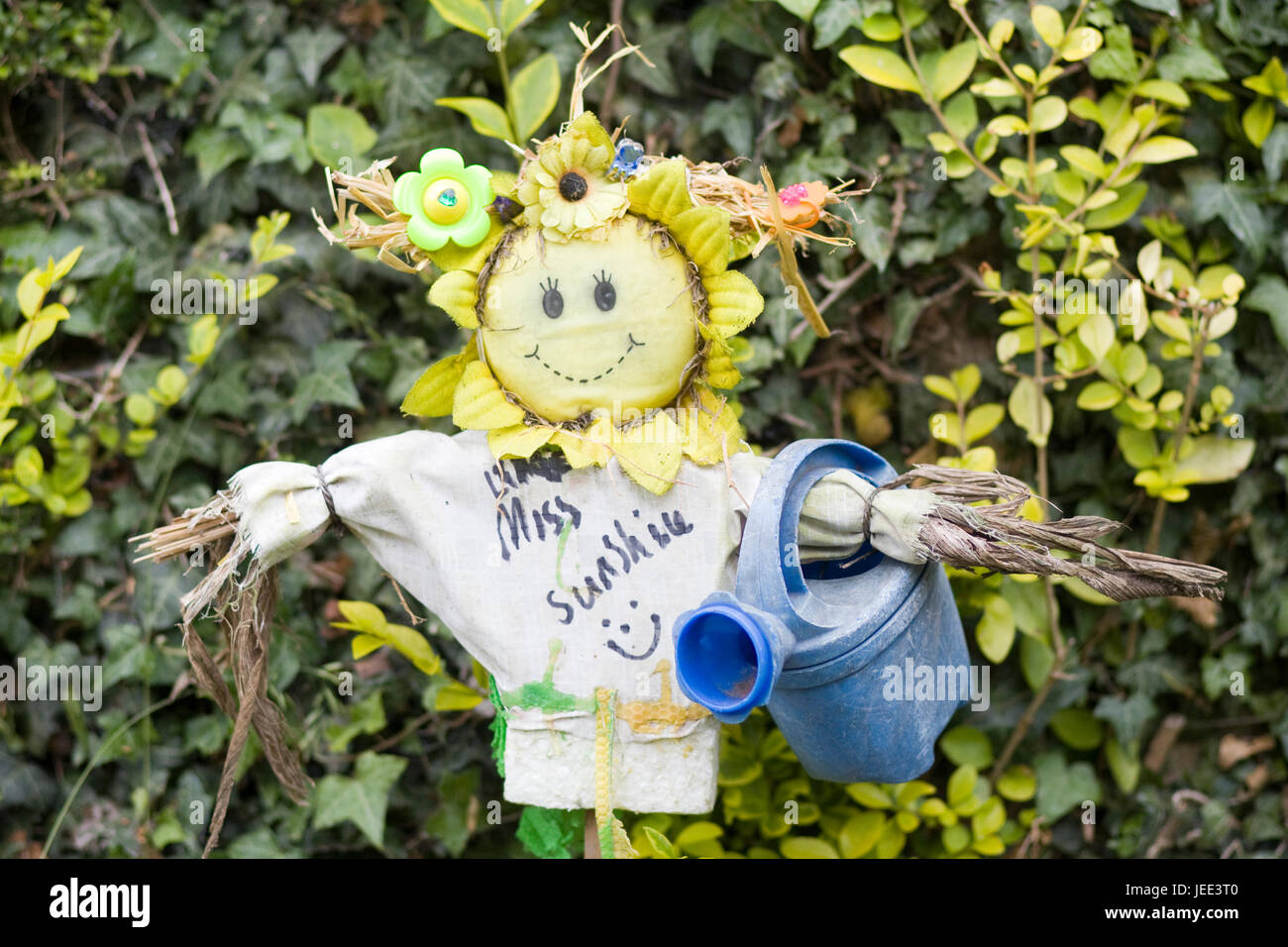 decorative scarecrows Little miss sunshine Stock Photo - Alamy