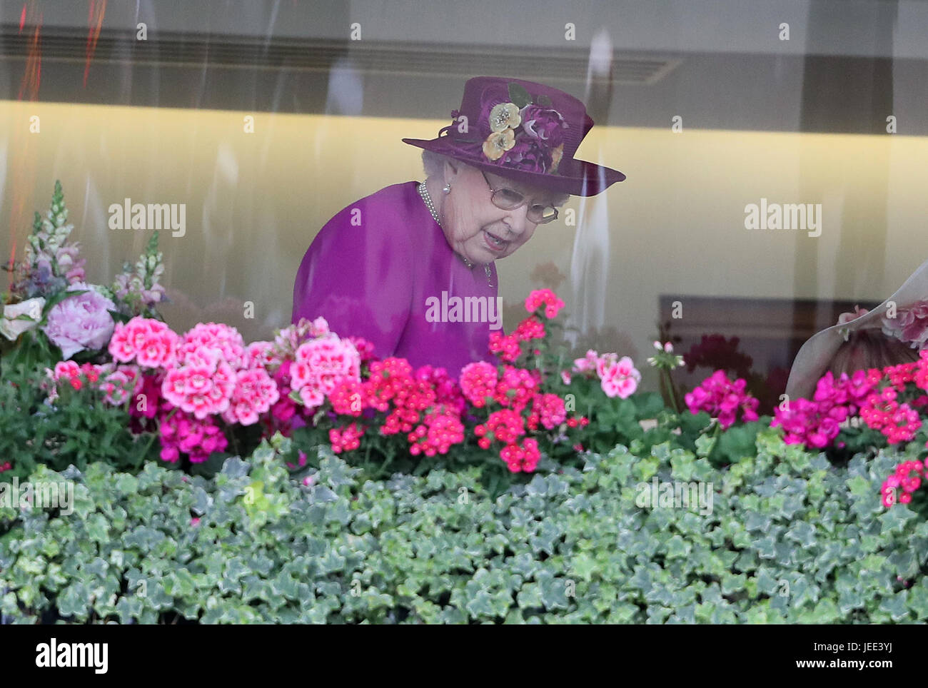 Queen Elizabeth II in the Royal Box during day five of Royal Ascot at ...
