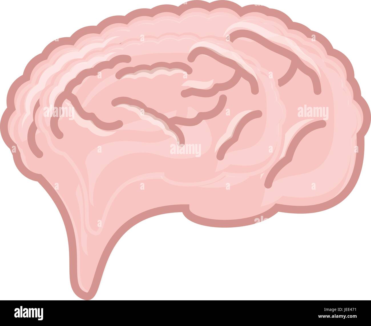 isolated pink brain Stock Vector Image & Art - Alamy