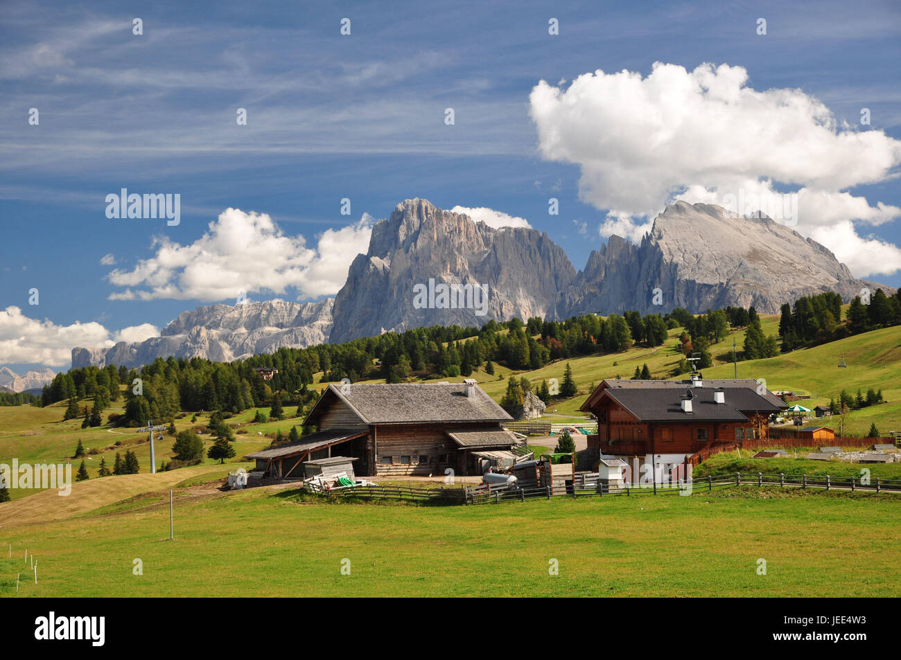 Italy, South Tirol, the Dolomites, Seiser alp, alp area, Alpine ...