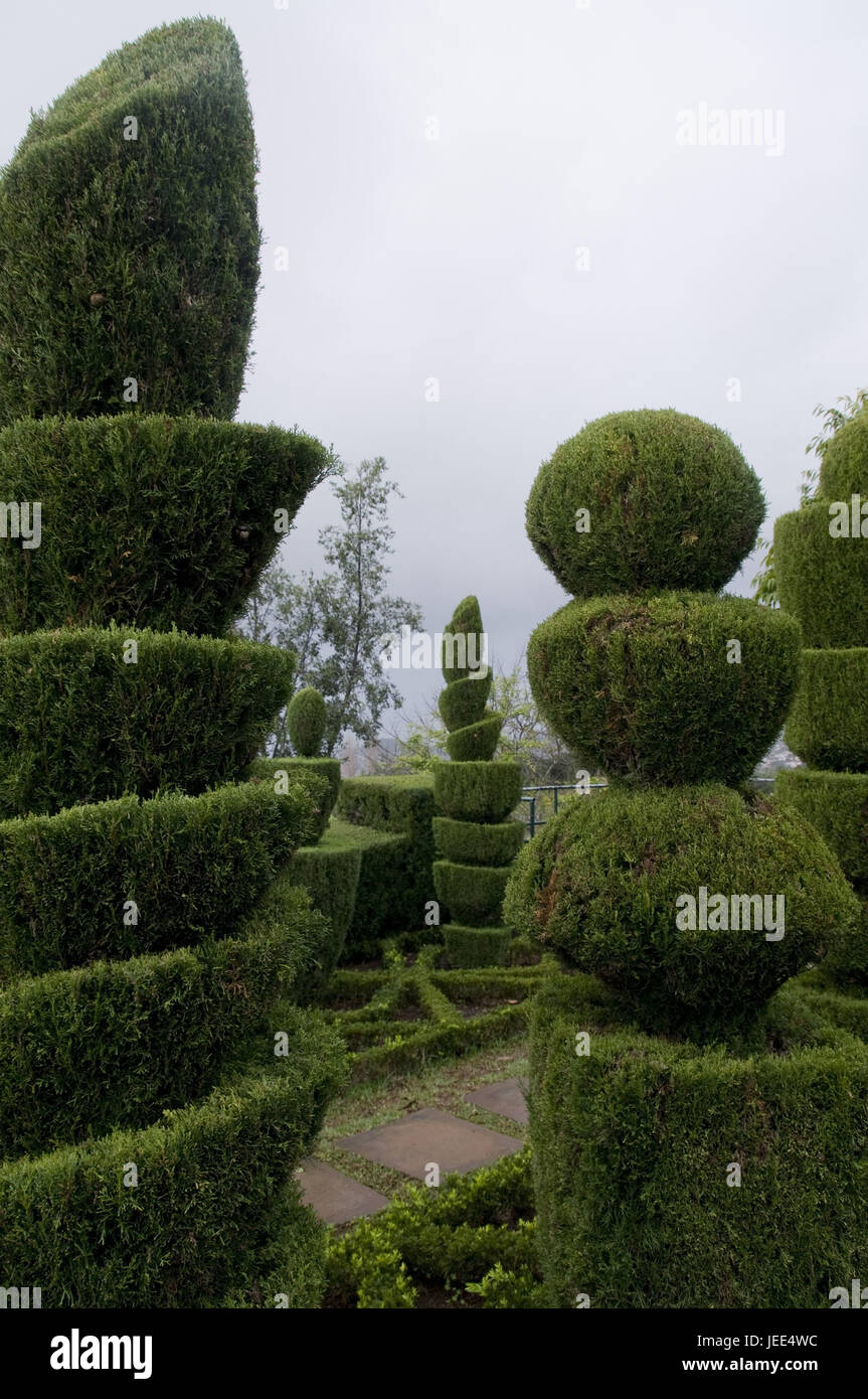 Botanical garden, trees, form editing, 'sculpture garden', close ...