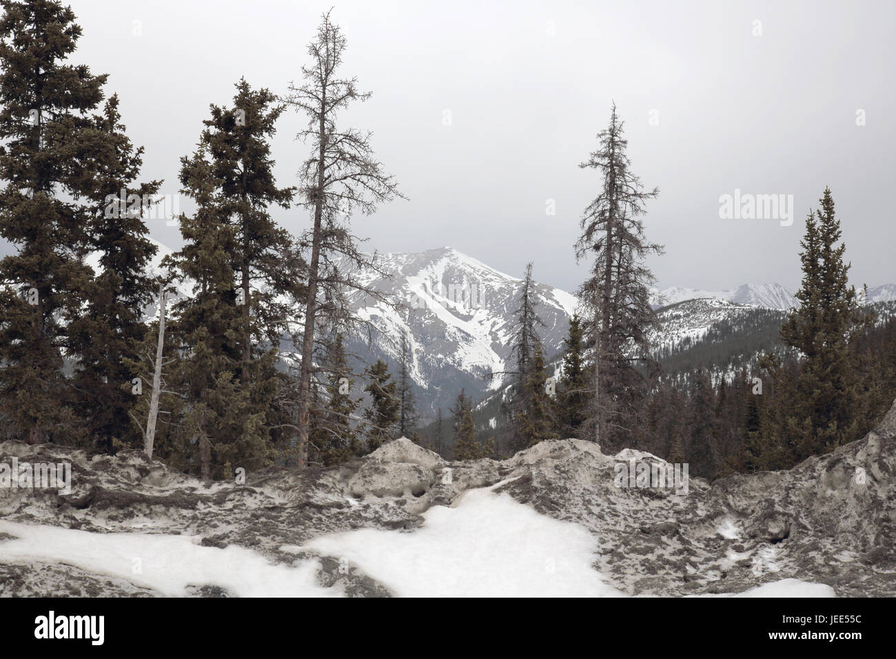 Monarch pass hi-res stock photography and images - Alamy
