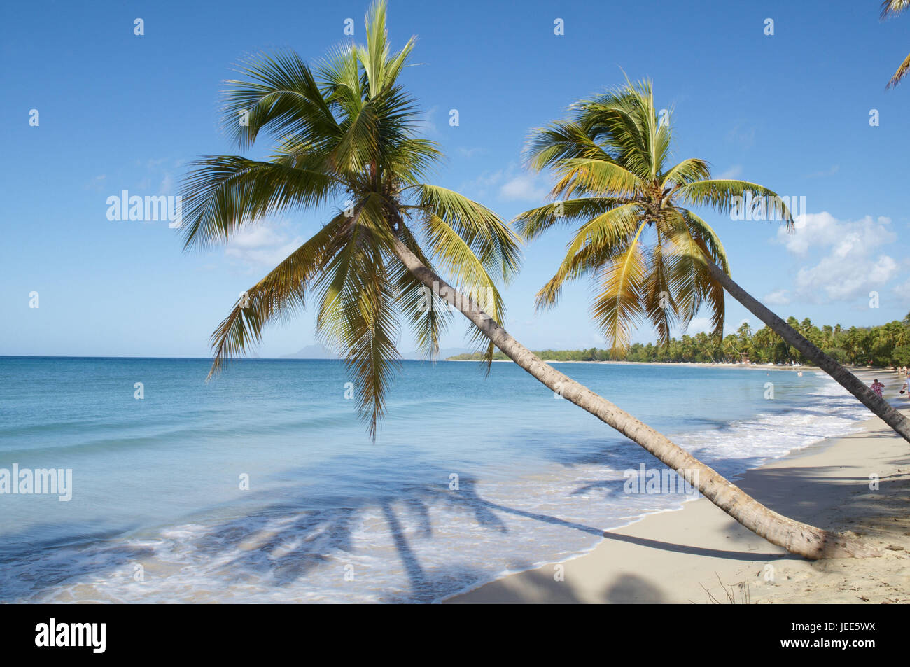 Tourism in martinique hi-res stock photography and images - Alamy