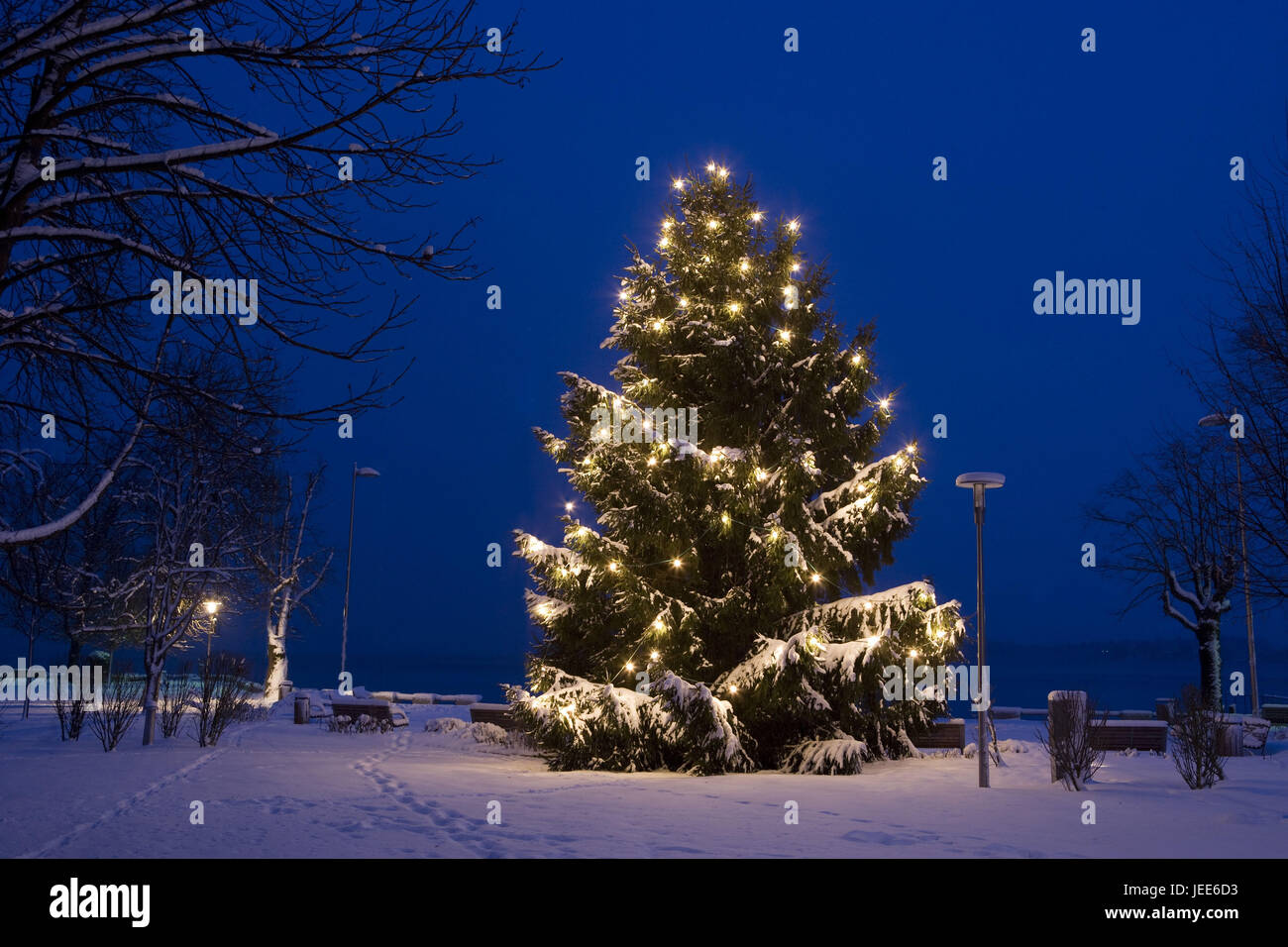 Illuminateded christmas tree hi-res stock photography and images - Alamy
