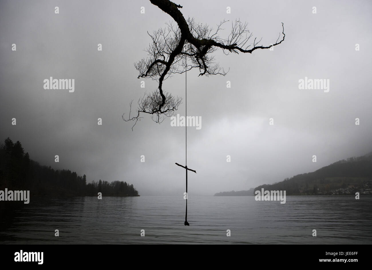 Tree as silhouette hi-res stock photography and images - Alamy