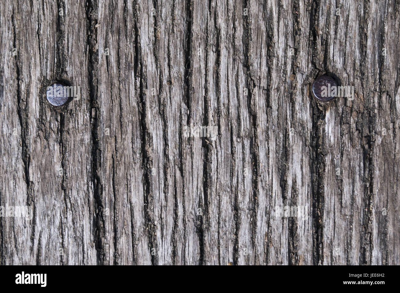 wooden springboard, old, weather-beaten, nails, close up Stock Photo ...