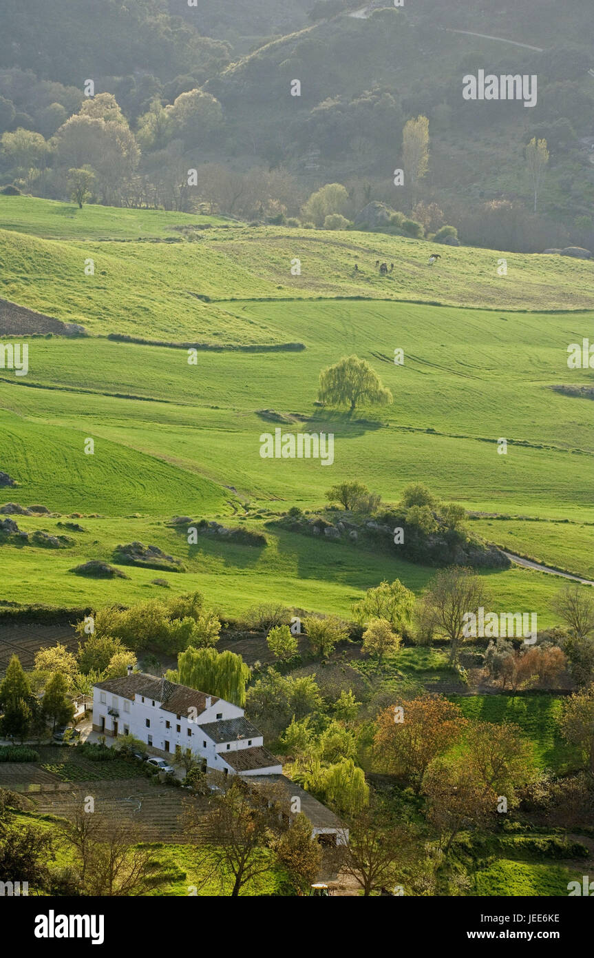 Andalusia farm hi-res stock photography and images - Alamy