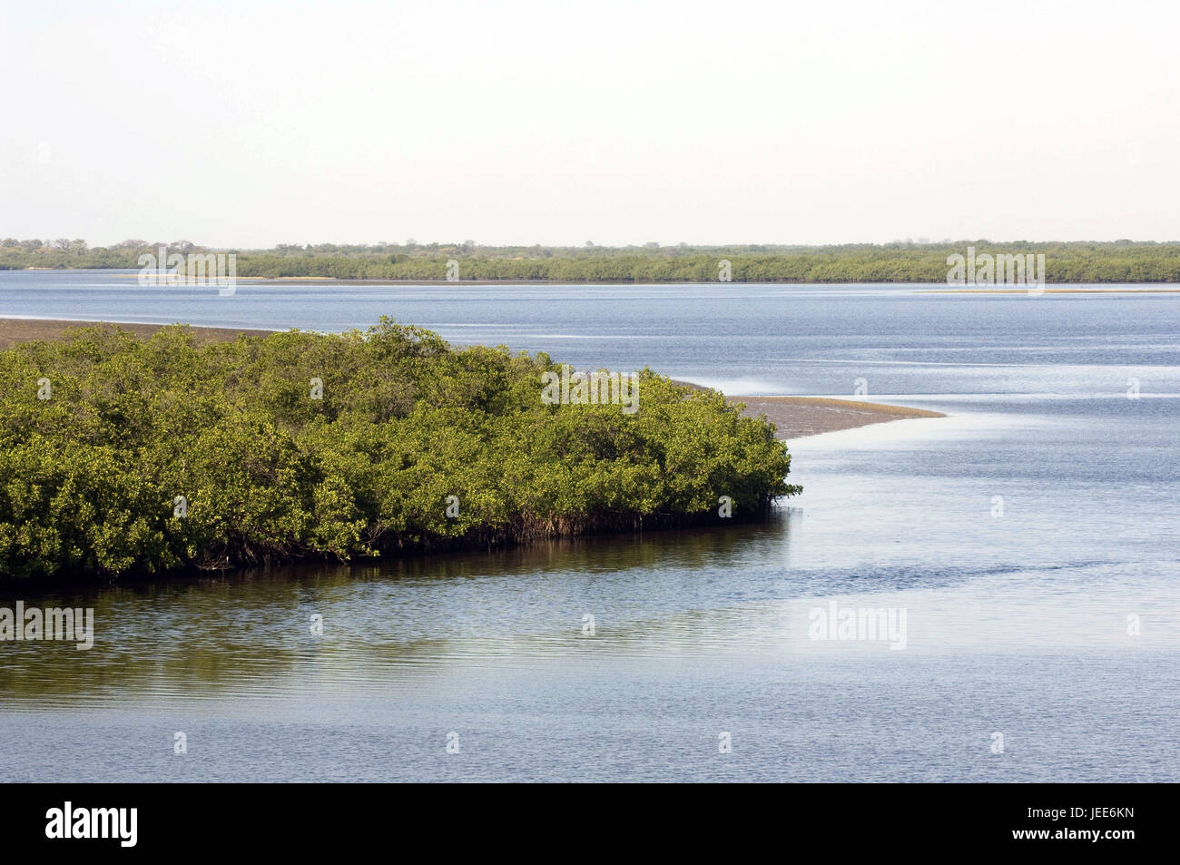 Mangroves, river scenery, Saloum delta, Senegal Stock Photo - Alamy