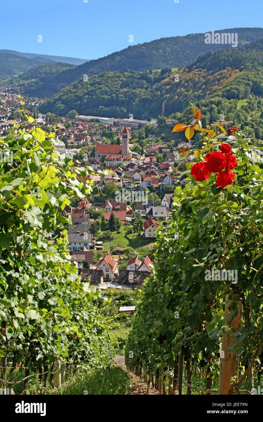 Germany, Baden-Wurttemberg, brook Gerns, town overview, vineyard, heart ...