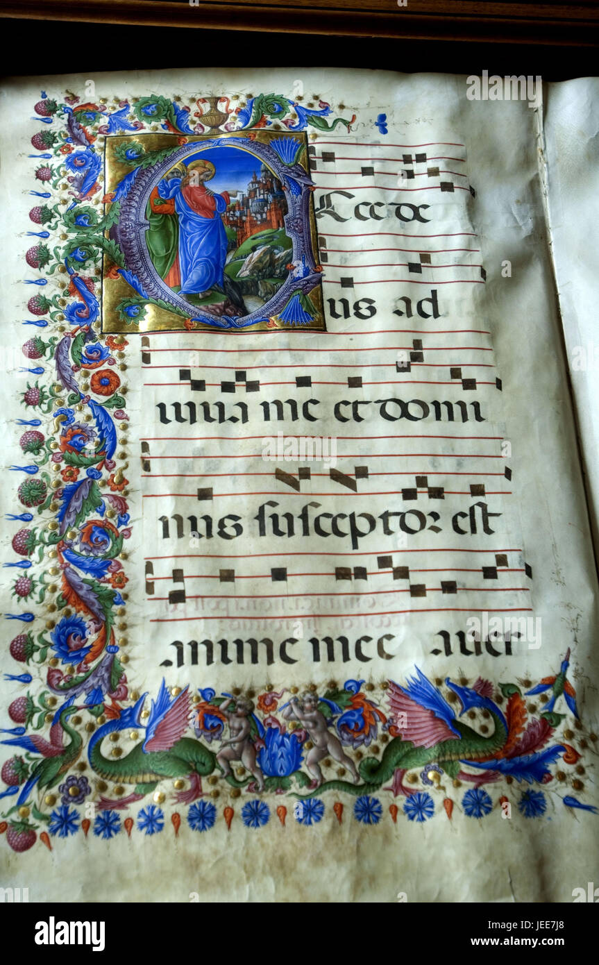 Italy, Tuscany, Siena, Duomo, Libreria Piccolomini, book page Stock ...