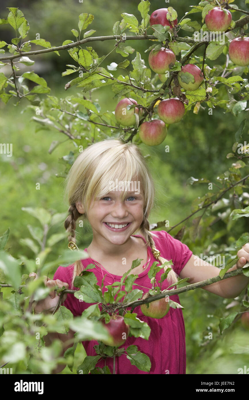 Apple-tree, apples, branches, girls, smile, portrait, person, child ...