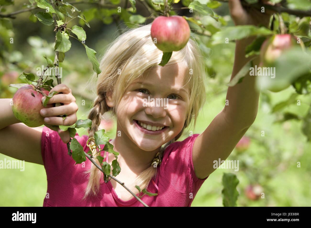 Apple-tree, apples, branches, girls, smile, portrait, person, child ...