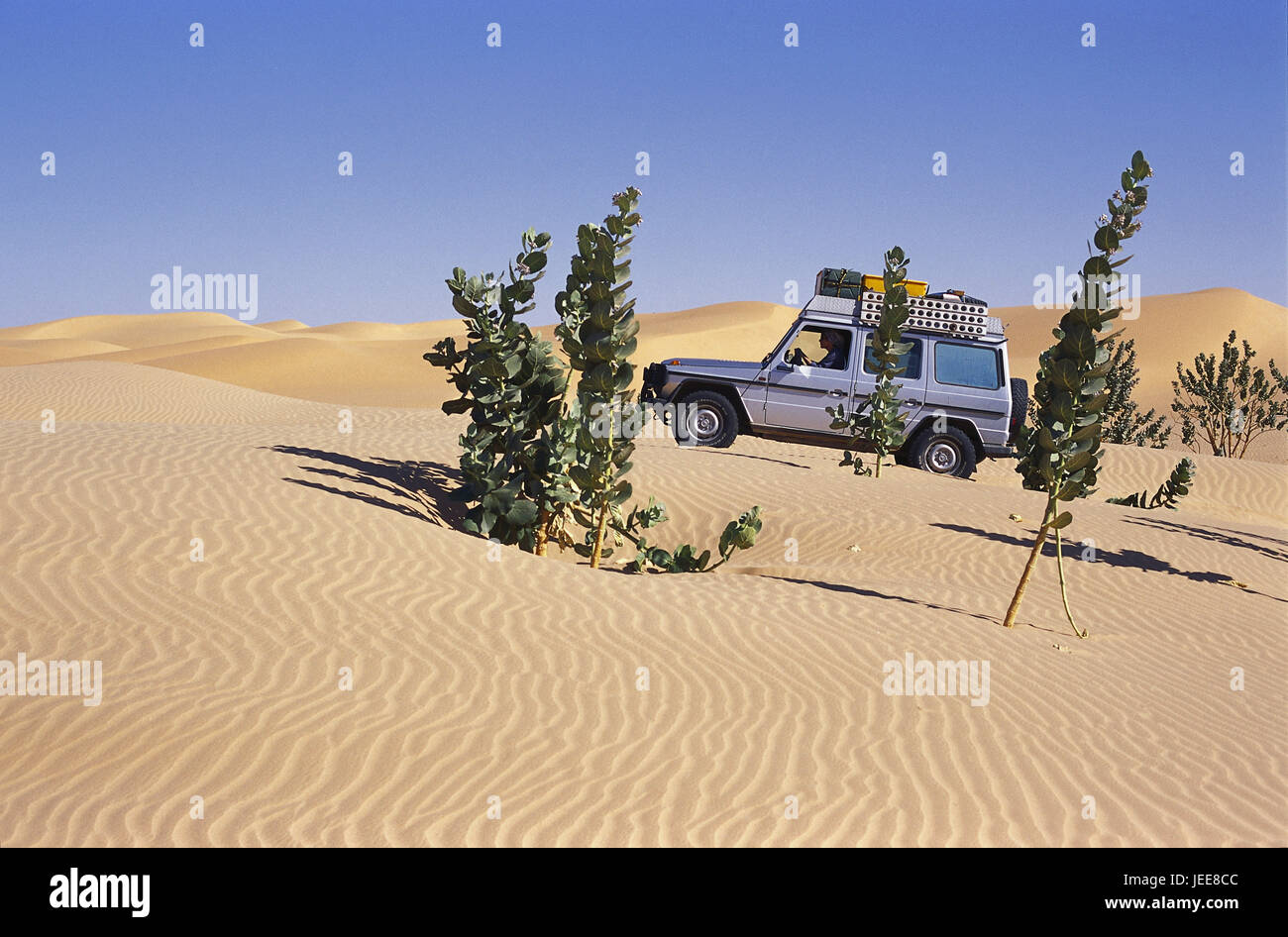 Mauritania desert hi-res stock photography and images - Alamy