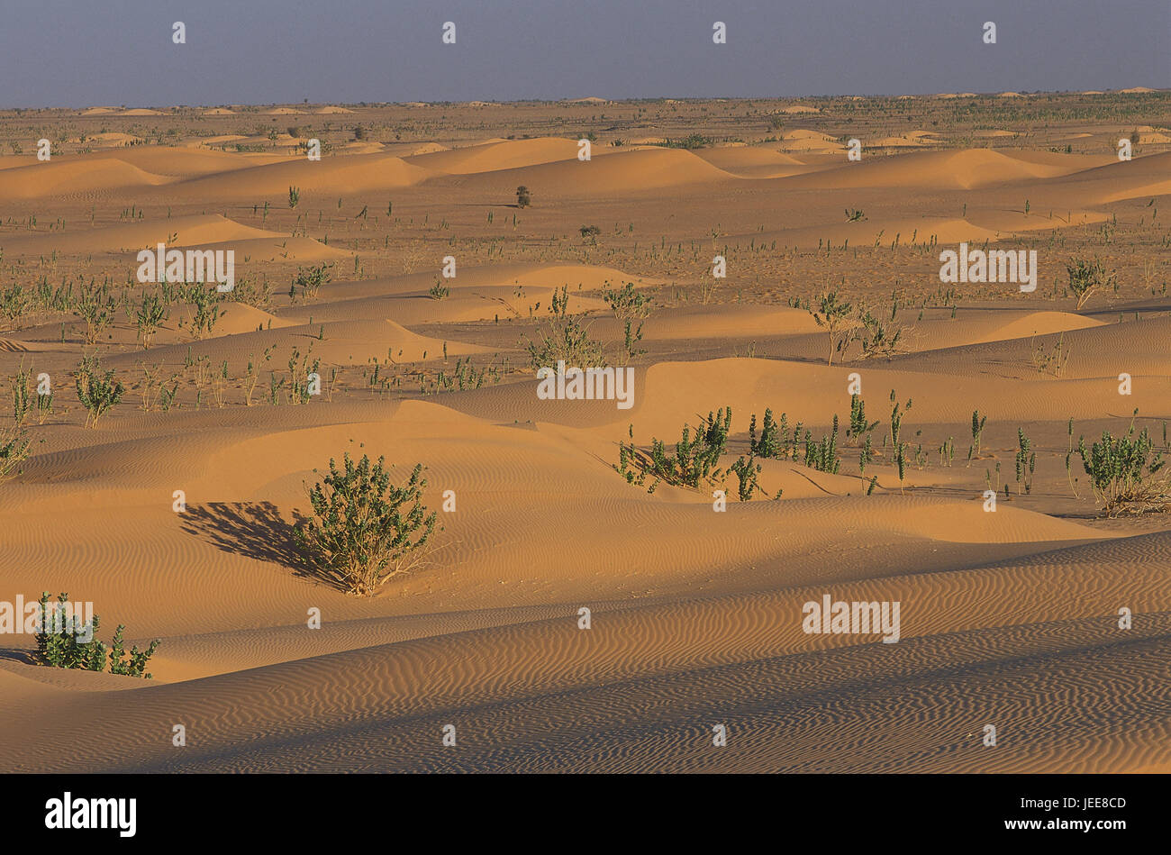 Mauritania scenery hi-res stock photography and images - Alamy