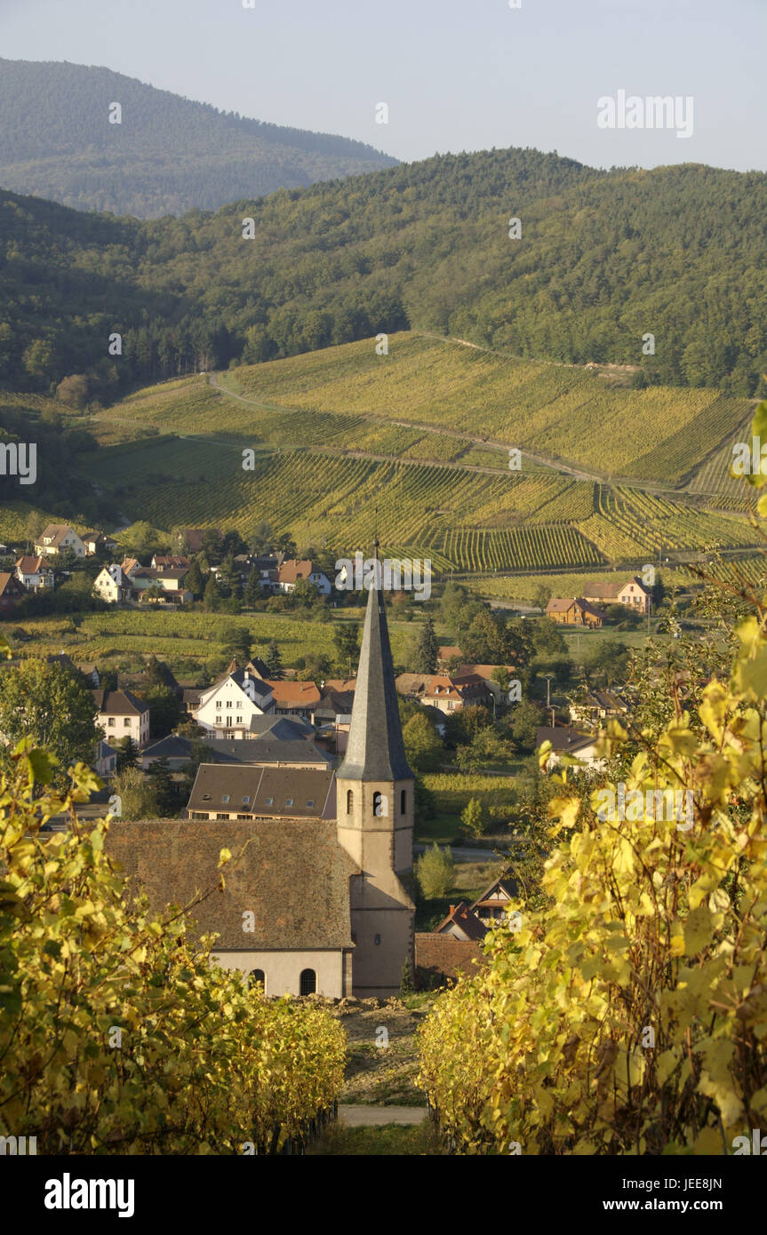 Hill, vineyards, Andlau, Alsace, department Bas-Rhin, France Stock ...