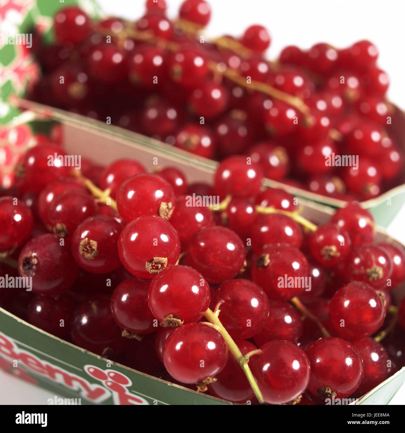 Currants, Ribes record of proceedings before judgment, fruits, white ...