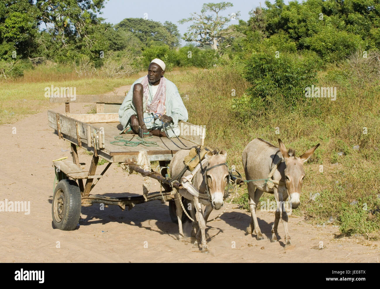 Donkey carts hi-res stock photography and images - Alamy