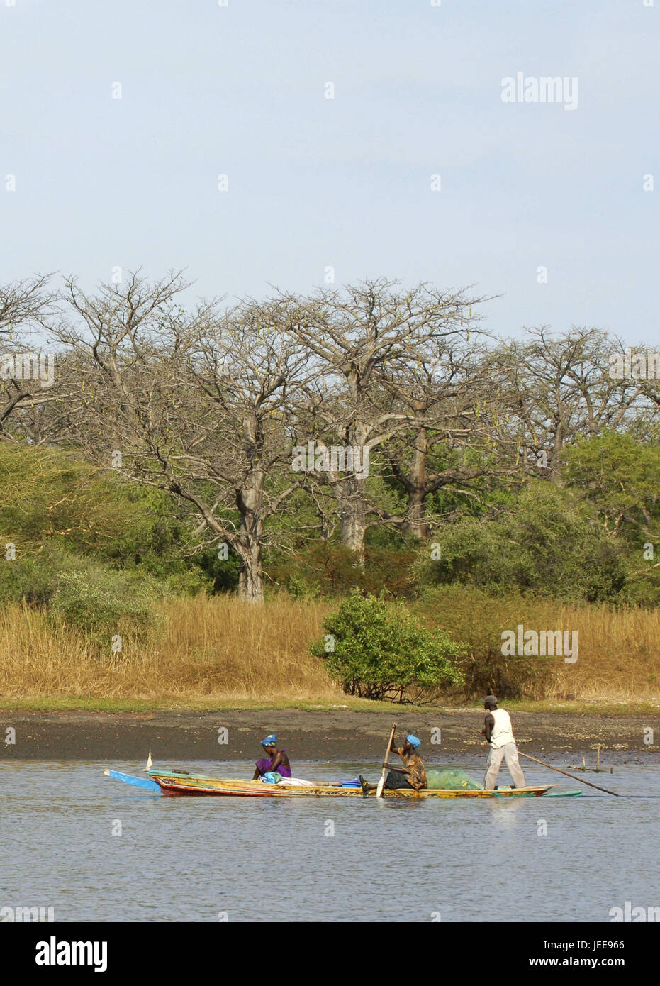Women, man, Piroge, drive, river, Saloum delta, Senegal Stock Photo - Alamy