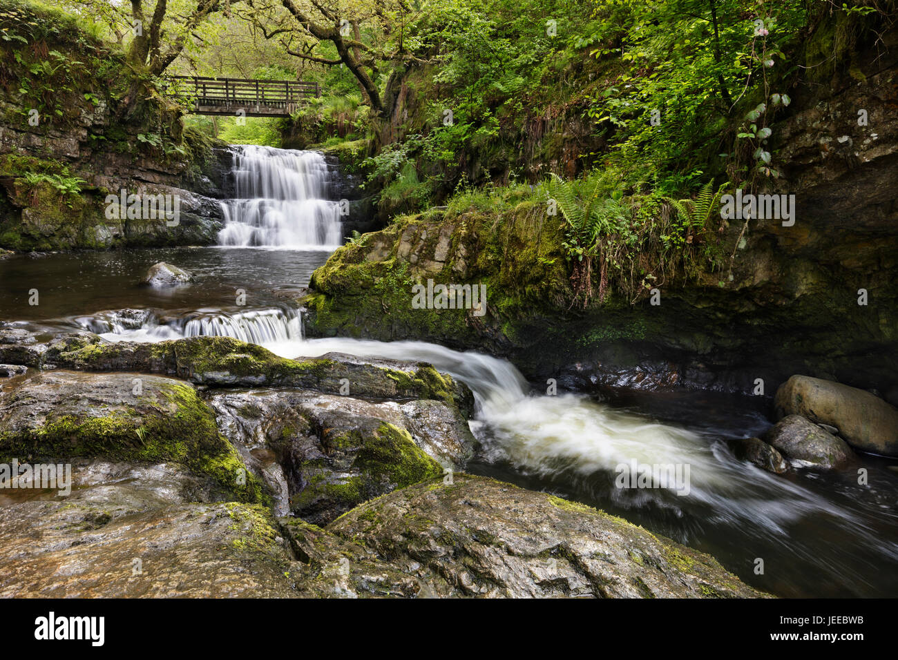 Waterfall on Dinas Rock on the Afon Sychryd river in the Brecon Beacons ...