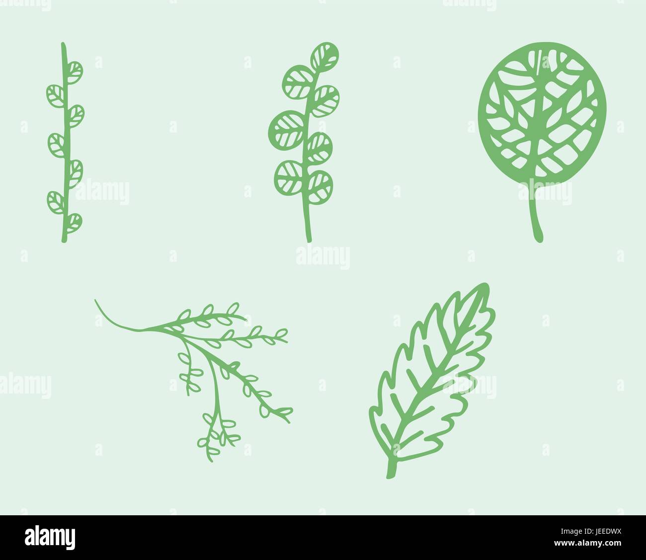 Vector icon of various leaves Stock Vector Image & Art - Alamy