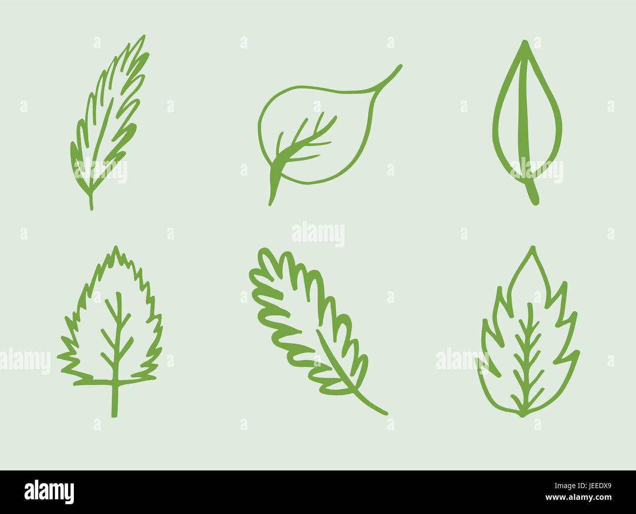 Vector icon of various outline leaves Stock Vector Image & Art - Alamy