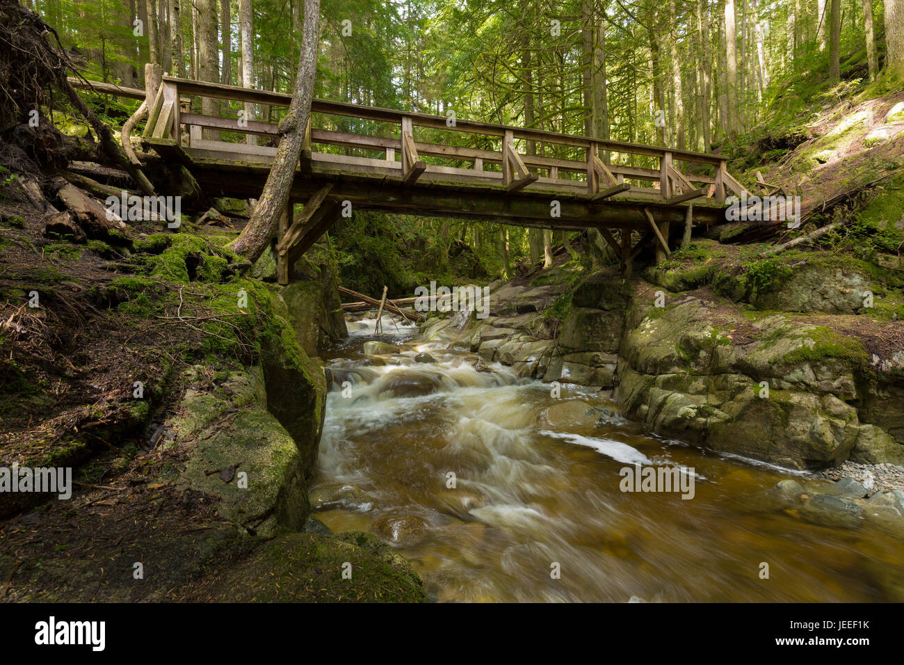 Cypress falls park hi-res stock photography and images - Alamy