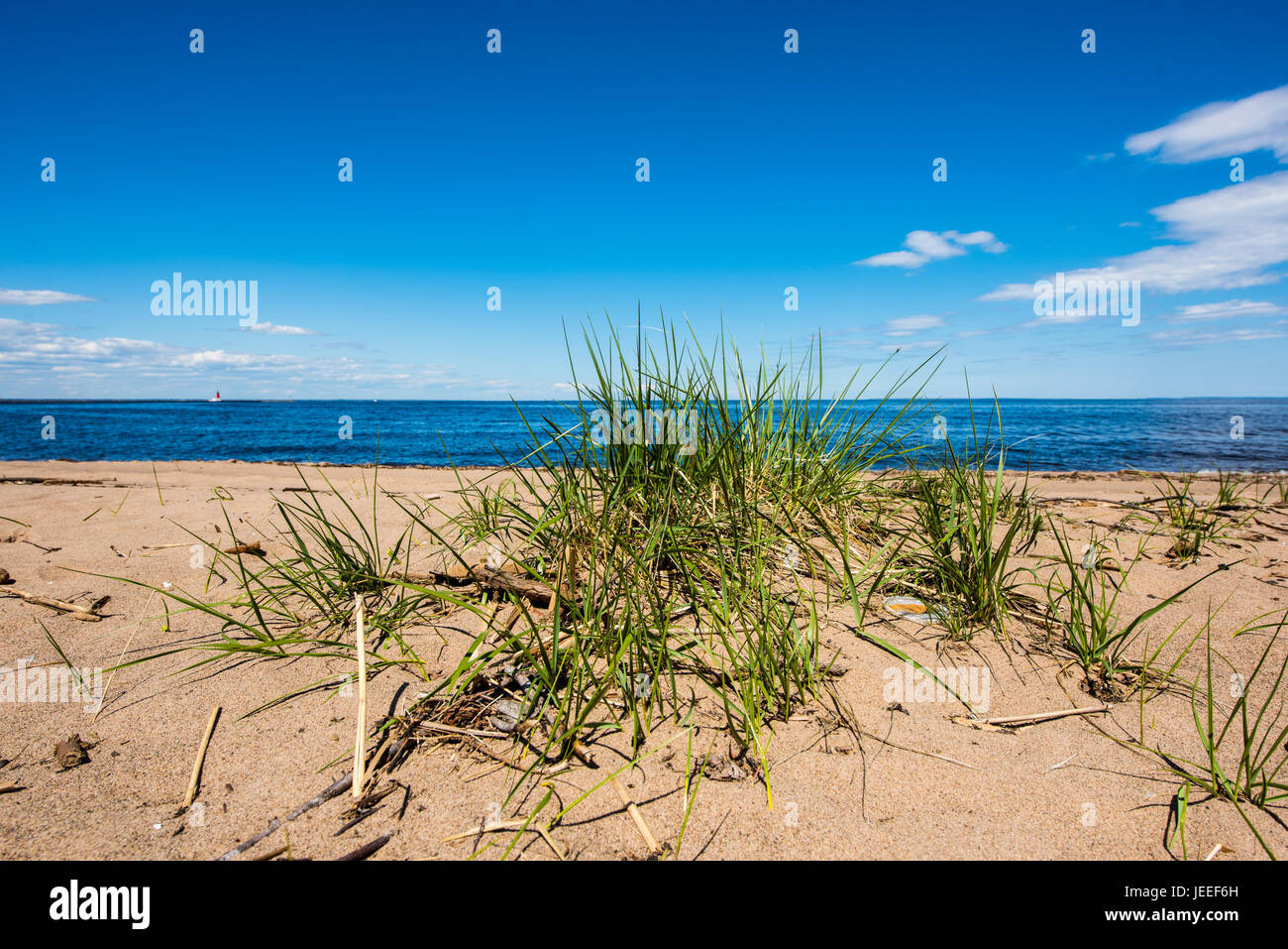 Grass on a beach with water in the background Stock Photo - Alamy