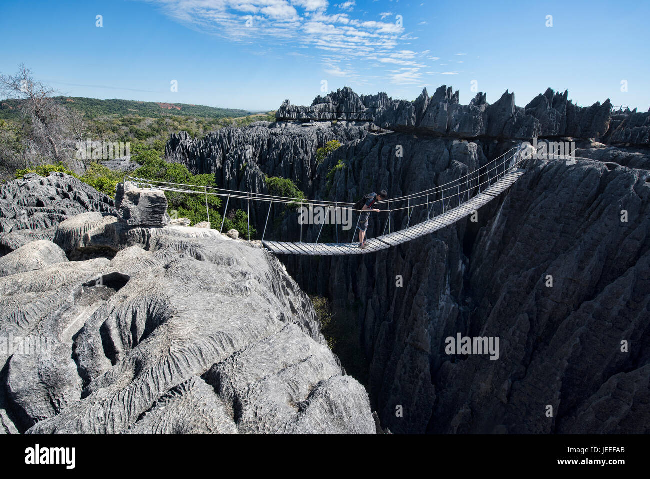 Suspension bridge view, Tsingy de Bemaraha National Park, Madagascar ...