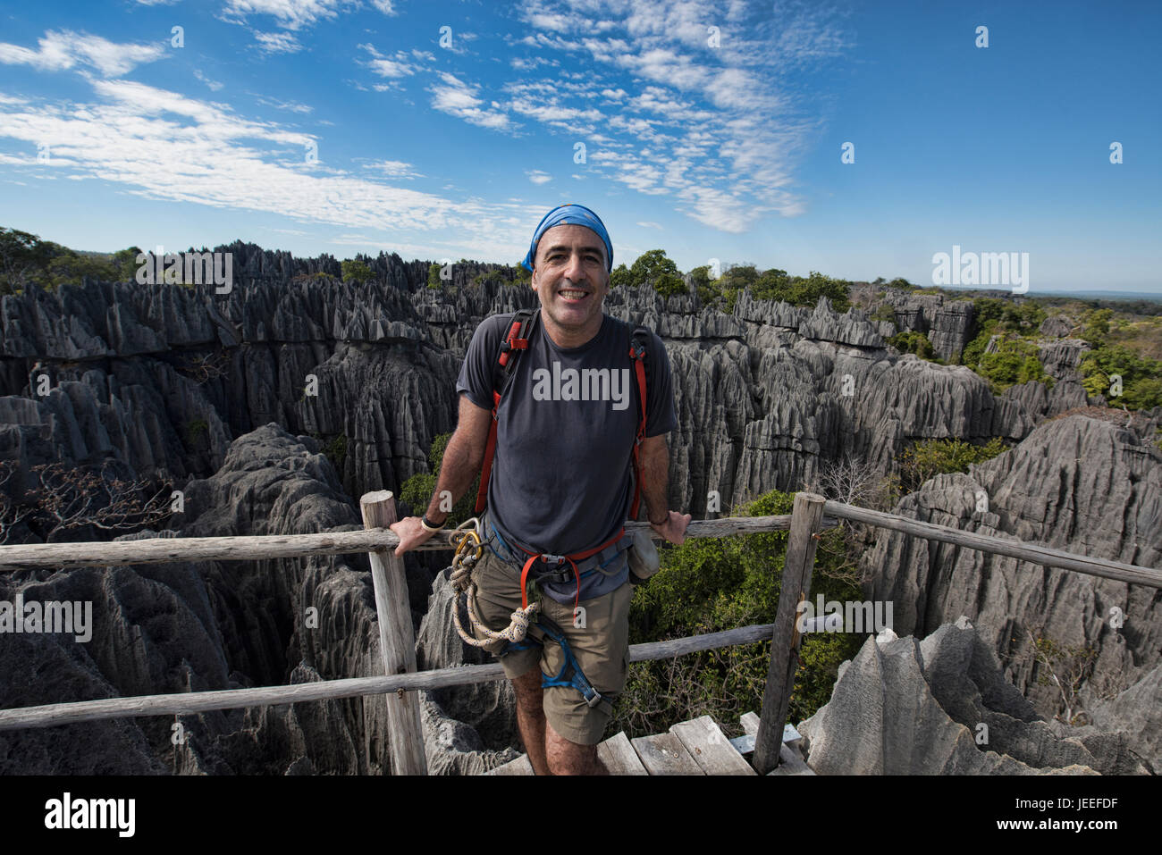 The view from above, Tsingy de Bemaraha National Park, Madagascar Stock ...