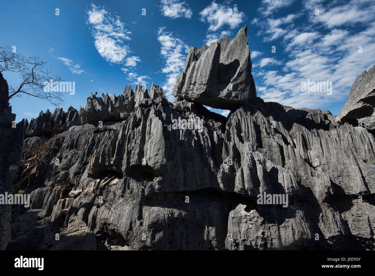 Hanging rock, Tsingy de Bemaraha National Park, Madagascar Stock Photo ...