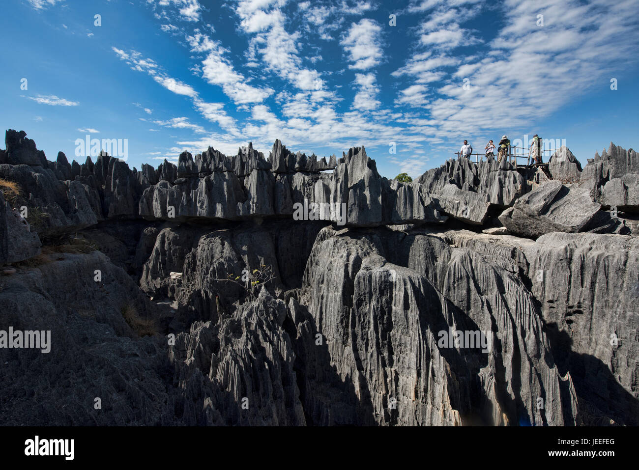The view from above, Tsingy de Bemaraha National Park, Madagascar Stock ...